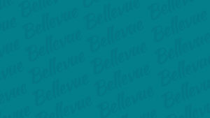 About Us - Idle Hours Resort