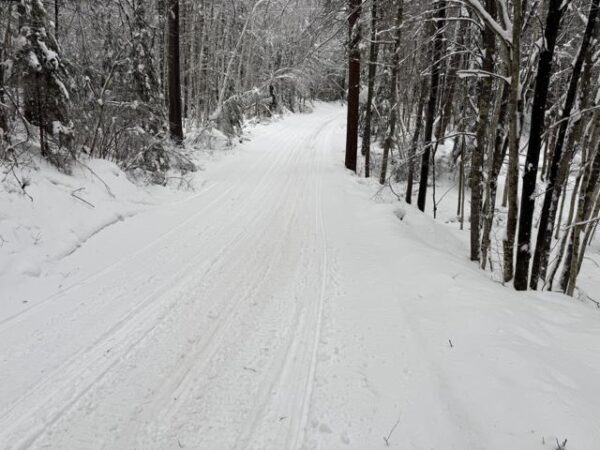 Snowmobile Trail Report for Friday, January 9, 2026 - Idle Hours Resort